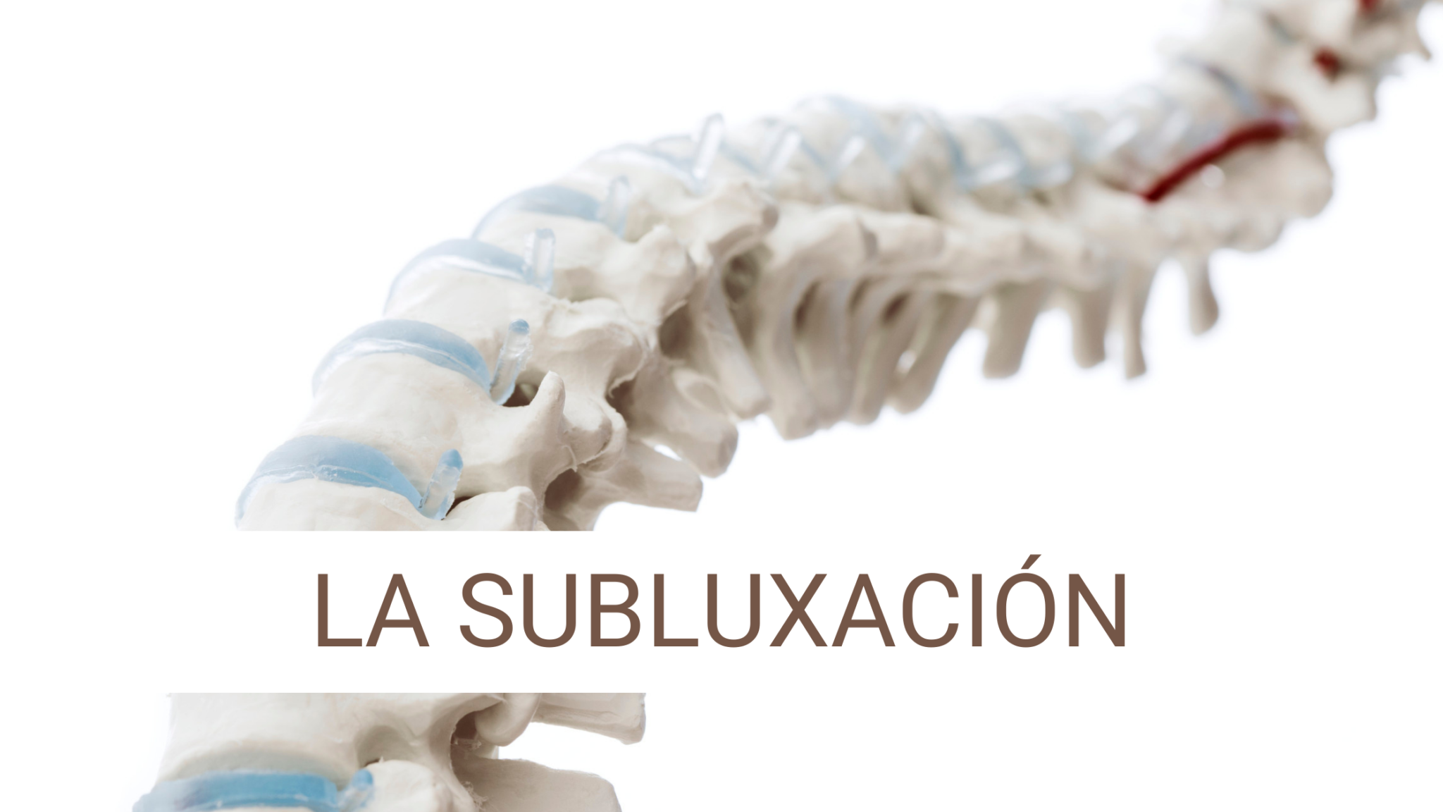 La Subluxación - Mediterráneo Quiropráctica