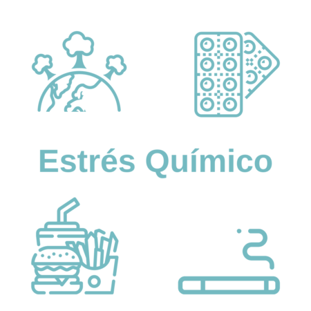 Tipos de Estrés - Mediterráneo Quiropráctica