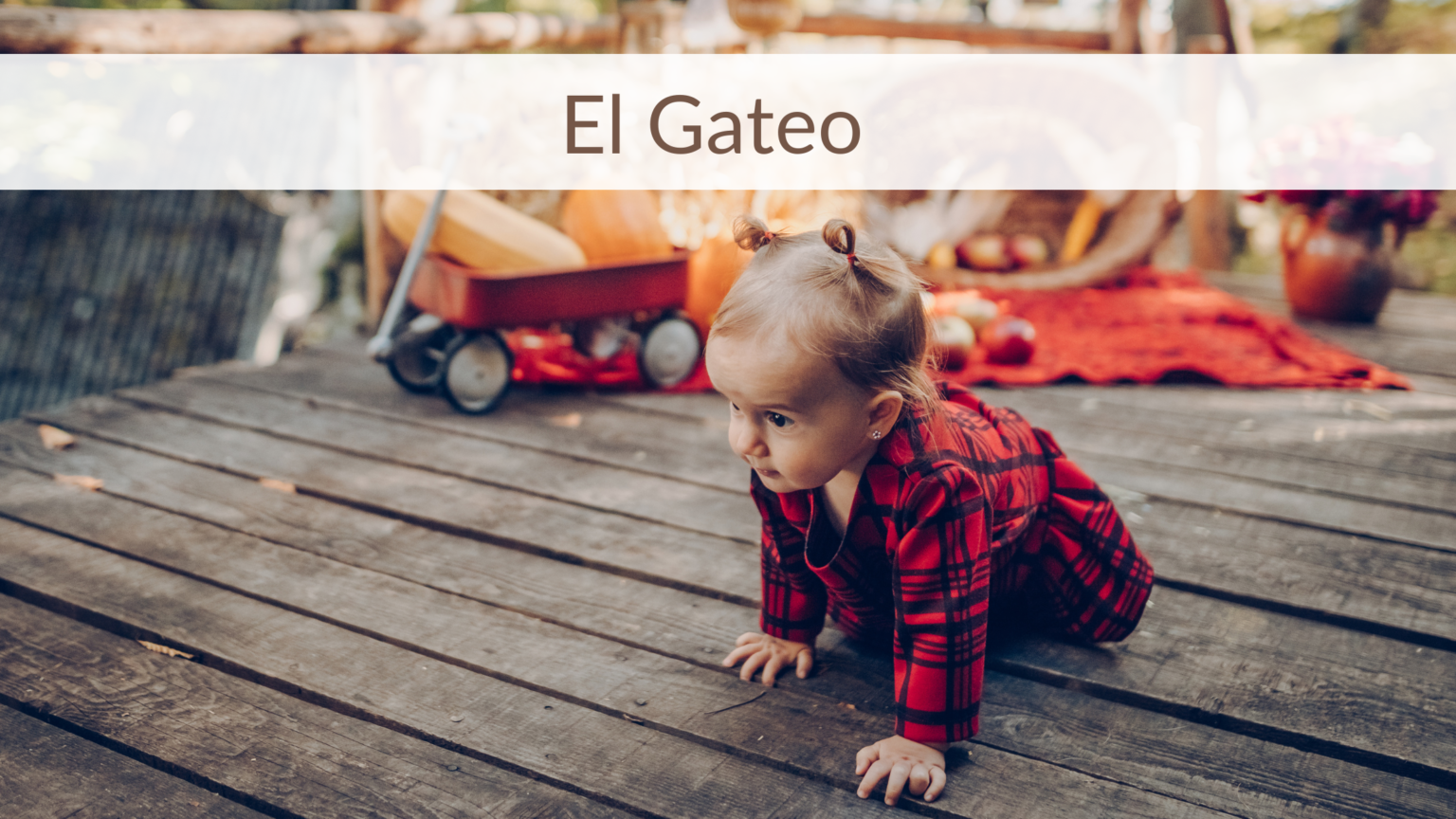 El Gateo - Mediterráneo Quiropráctica