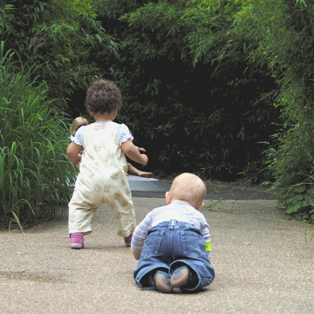 El Gateo - Mediterráneo Quiropráctica